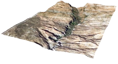 Social Forest Oaks of Tovaangar Curriculum